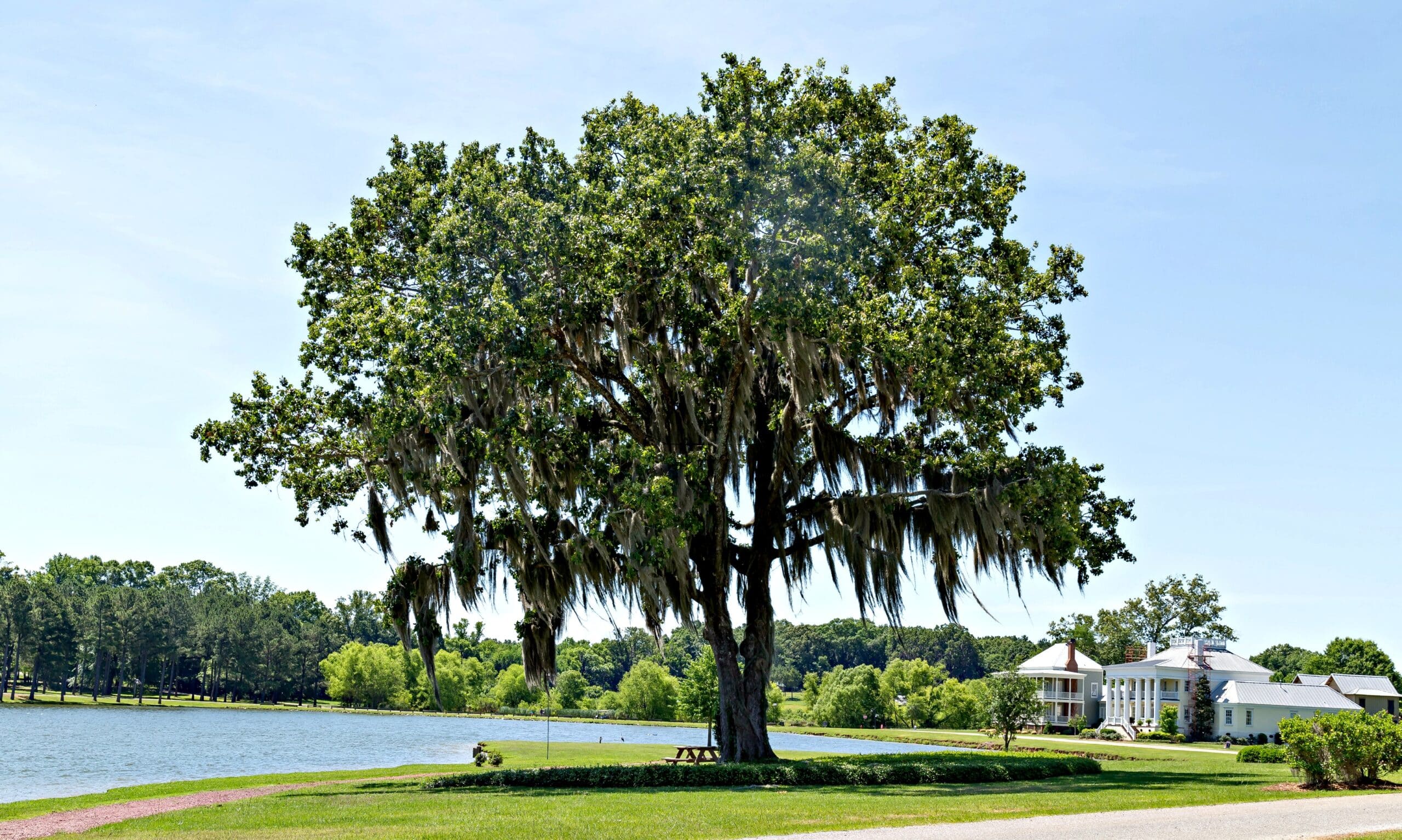 Spring Cleaning | The Waters AL